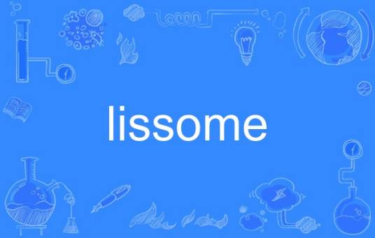 lissome_百度百科