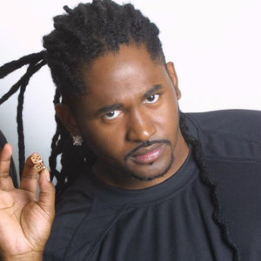 Mad Lion_百度百科