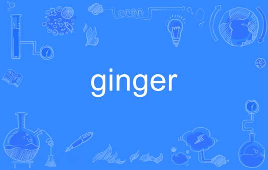 ginger（英语单词）_百度百科
