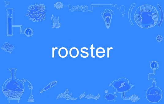 rooster（英文单词）_百度百科