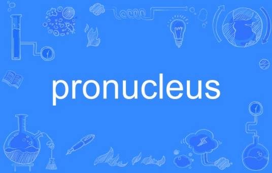 pronucleus_百度百科
