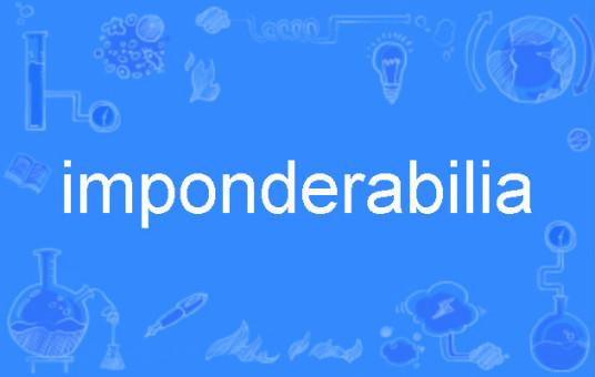 imponderabilia_百度百科