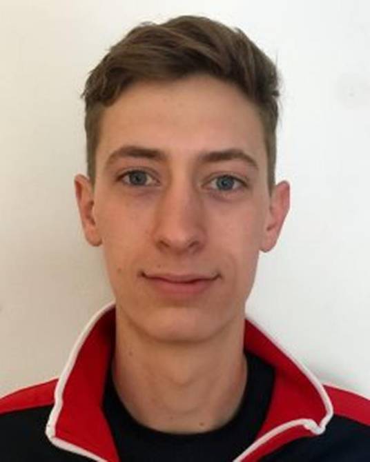 FERLIC Mason_百度百科