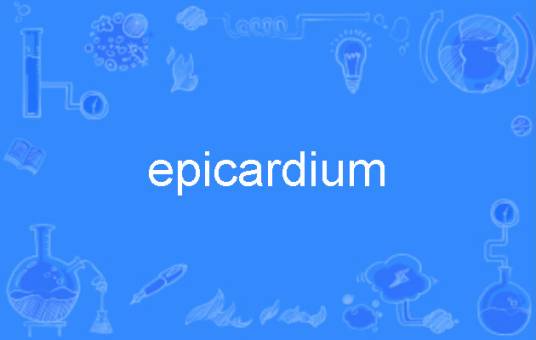 epicardium_百度百科