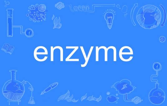 enzyme_百度百科