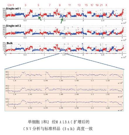 MALBAC技术_百度百科