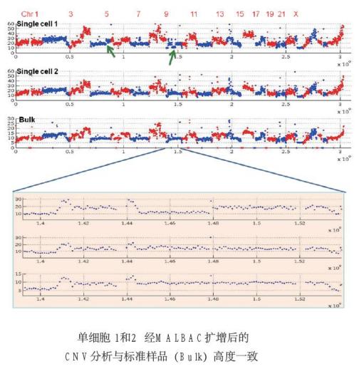 MALBAC技术_百度百科