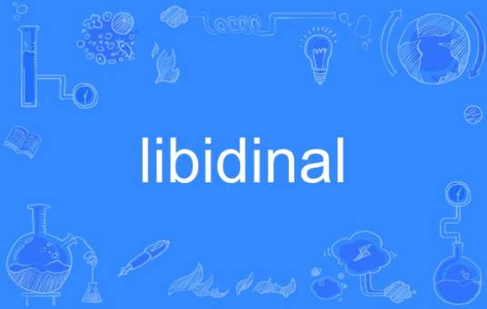 libidinal_百度百科