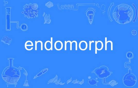 endomorph_百度百科