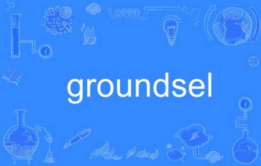 groundsel_百度百科
