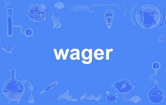 wager_百度百科