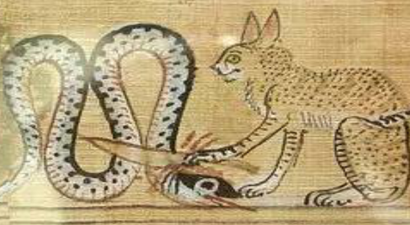 神秘莫测的埃及猫_百科TA说