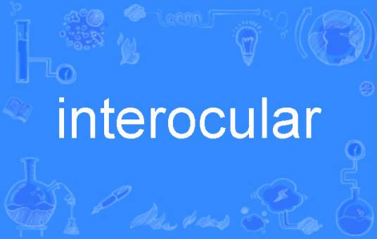 interocular_百度百科