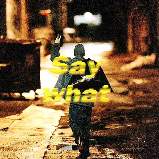 Say What_百度百科