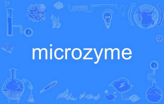 microzyme_百度百科