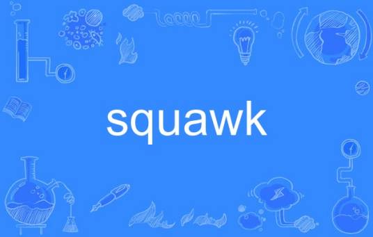 squawk_百度百科