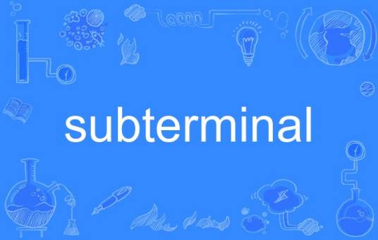 subterminal_百度百科