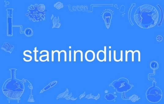 staminodium_百度百科