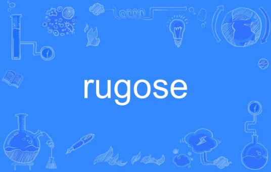 rugose_百度百科