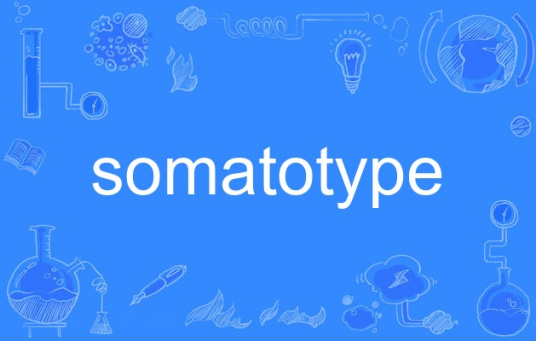 somatotype_百度百科
