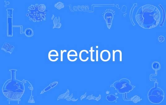 erection_百度百科