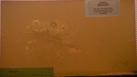 M74步枪弹_百度百科