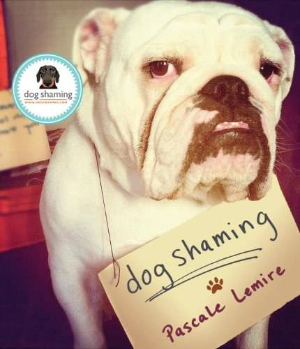 Dog Shaming_百度百科