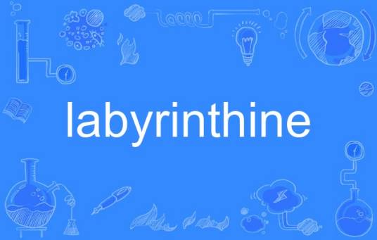 labyrinthine_百度百科