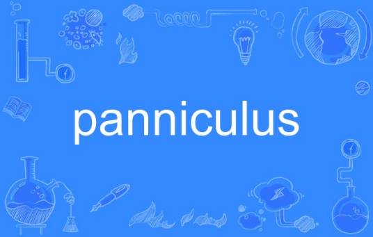 panniculus_百度百科