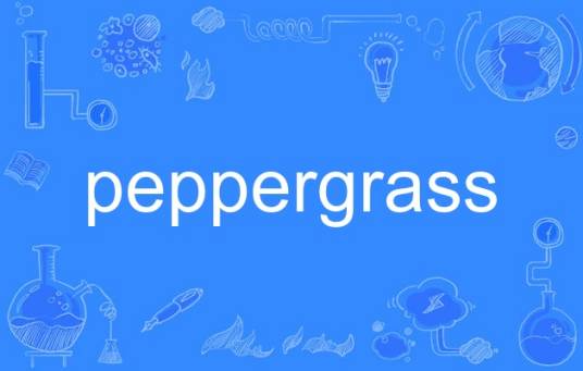 peppergrass_百度百科