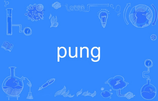 pung_百度百科