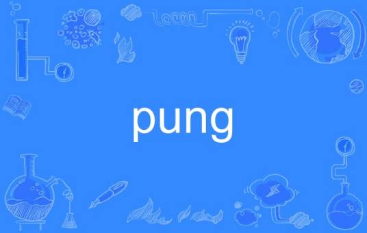 pung_百度百科