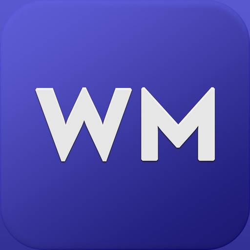 WM（存储单位）_百度百科