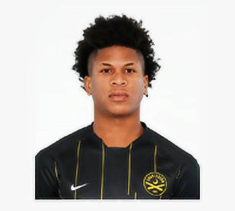 尼克·达利_百度百科