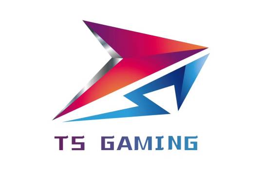 TS豚首电子竞技俱乐部_百度百科