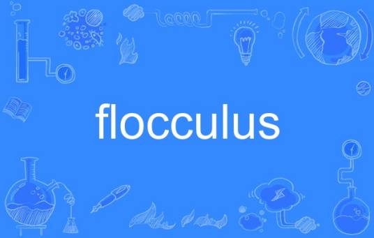 flocculus_百度百科