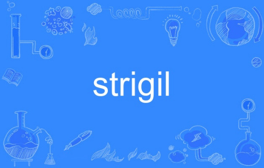 strigil_百度百科