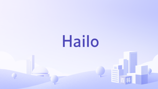 Hailo（智能芯片公司）_百度百科