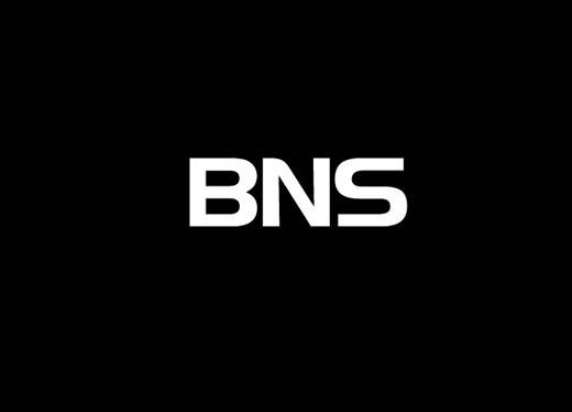 BNS_百度百科
