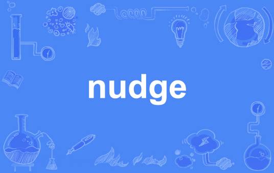nudge_百度百科