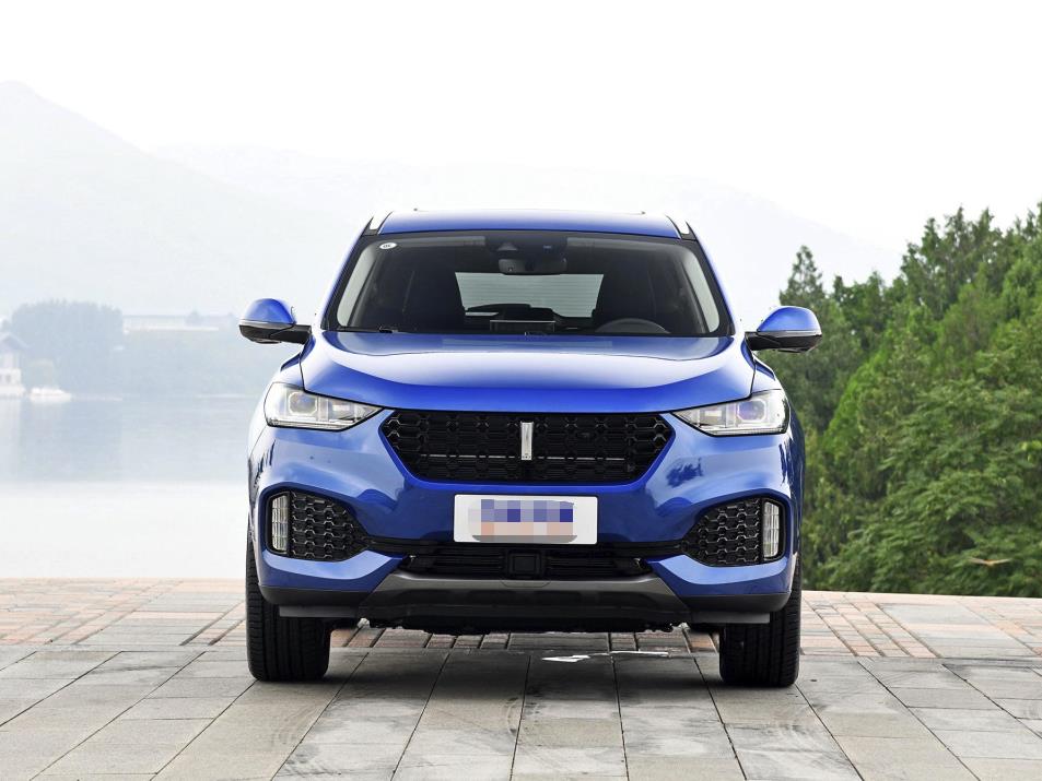 15万起的WEY VV6真的好吗？车主表示有话要说_百科TA说