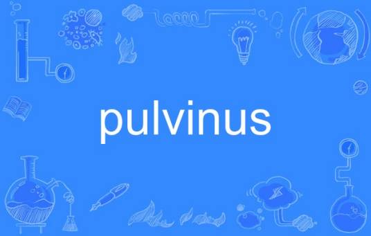 pulvinus_百度百科