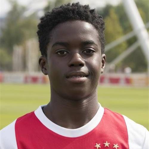 Gabriel Misehouy_百度百科