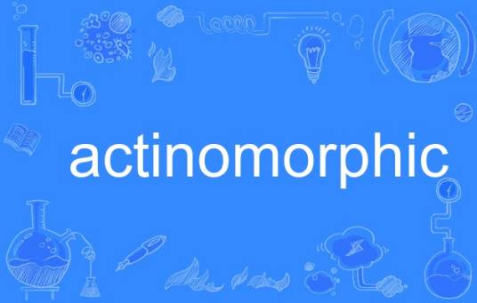 actinomorphic_百度百科