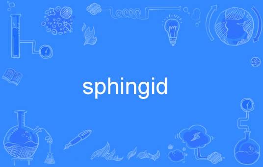 sphingid_百度百科