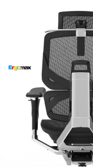 ergomax_百度百科