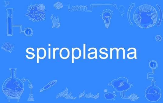 spiroplasma_百度百科