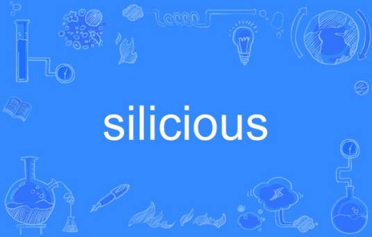 silicious_百度百科