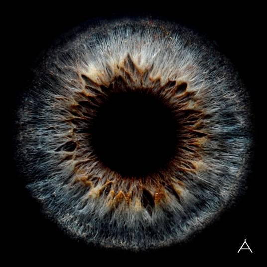 Apples of Thy Eye_百度百科