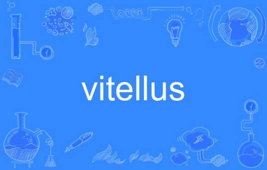 vitellus_百度百科
